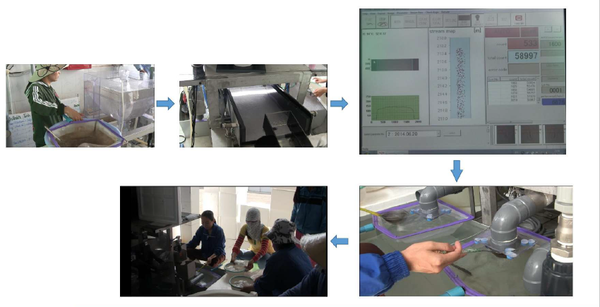 Shrimp & Fish Counting Machine