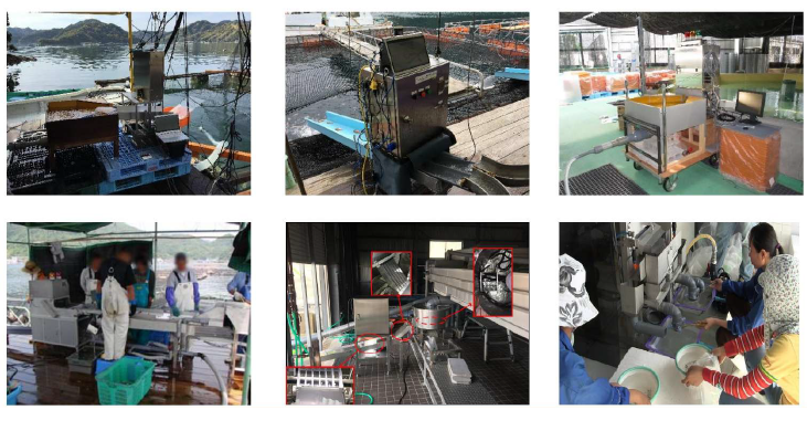 Shrimp & Fish Counting Machine